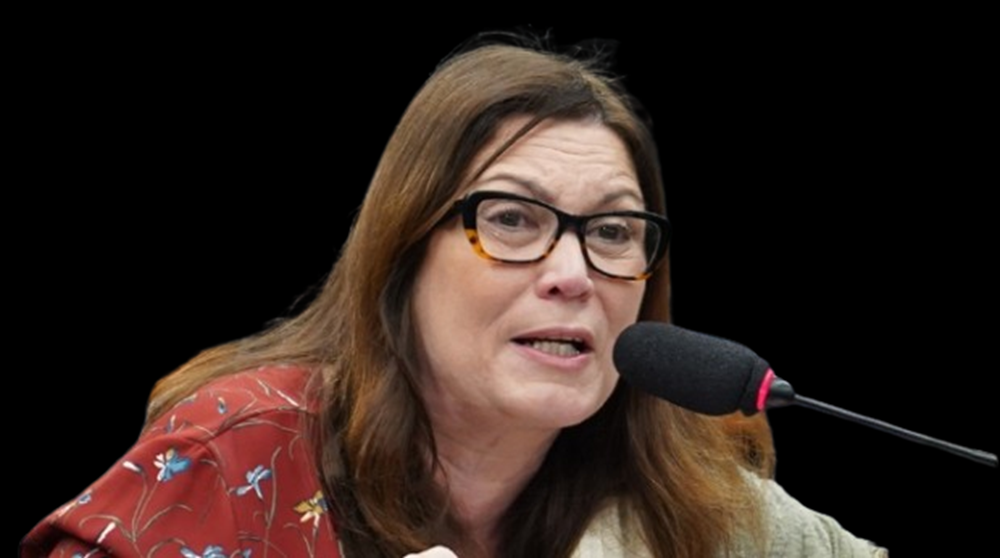 Bia Kicis pode cavar derrota ao Senado caso apoie apenas sua "panelinha ...